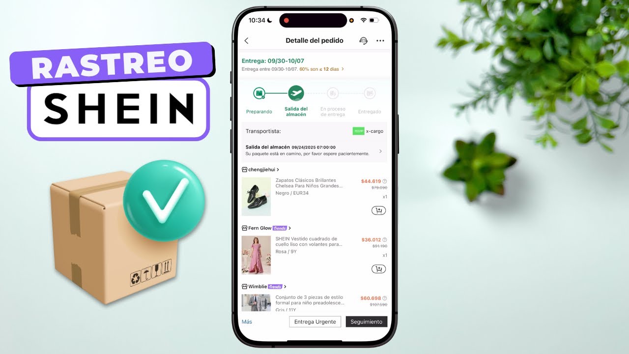 Seguimiento de Pedido SHEIN | Rastrear Paquete Fácil - YouTube