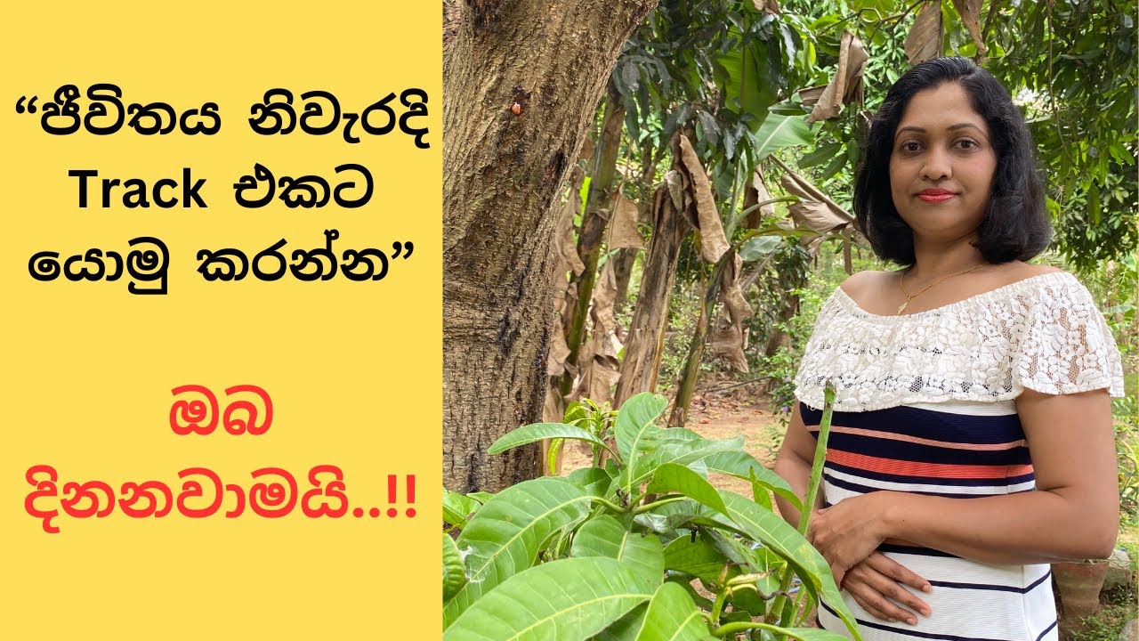 @Develop yourself with Nadeema/Ep-02 ජීවිතය නිවැරදි Track එකට යොමු ...