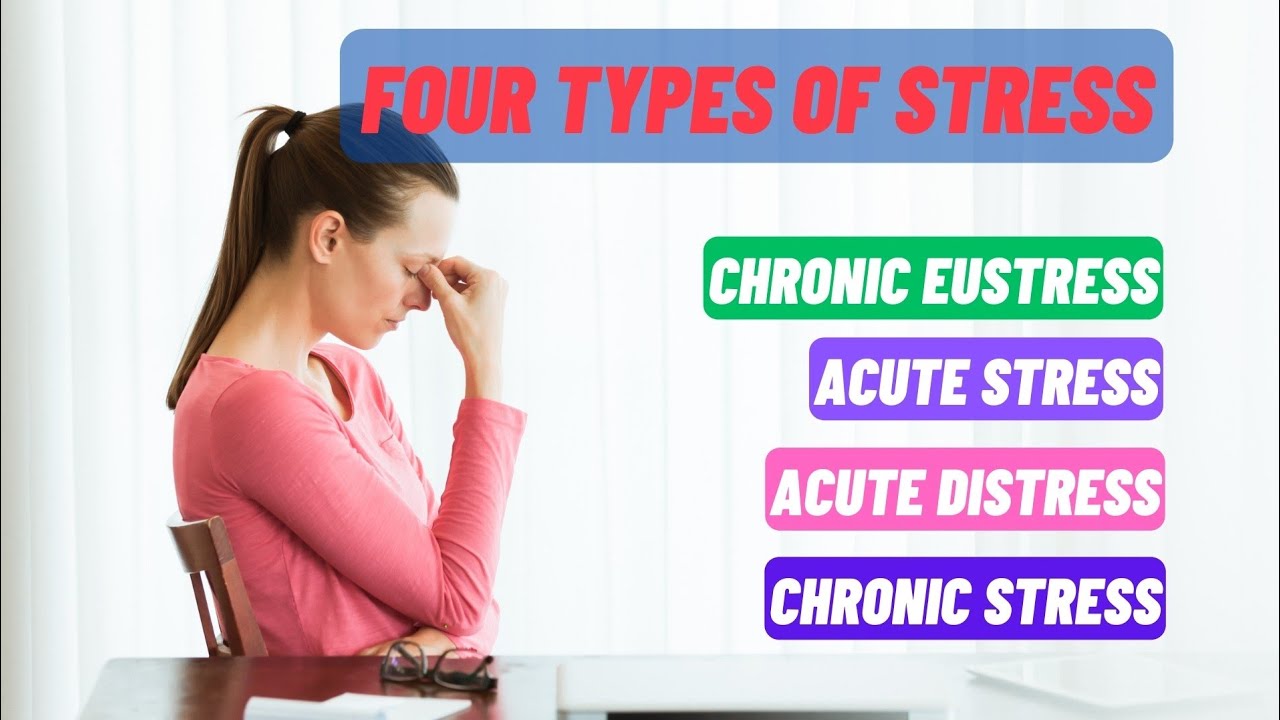 Understanding Four Types of Stress | Chronic Eustress, Acute Stress ...
