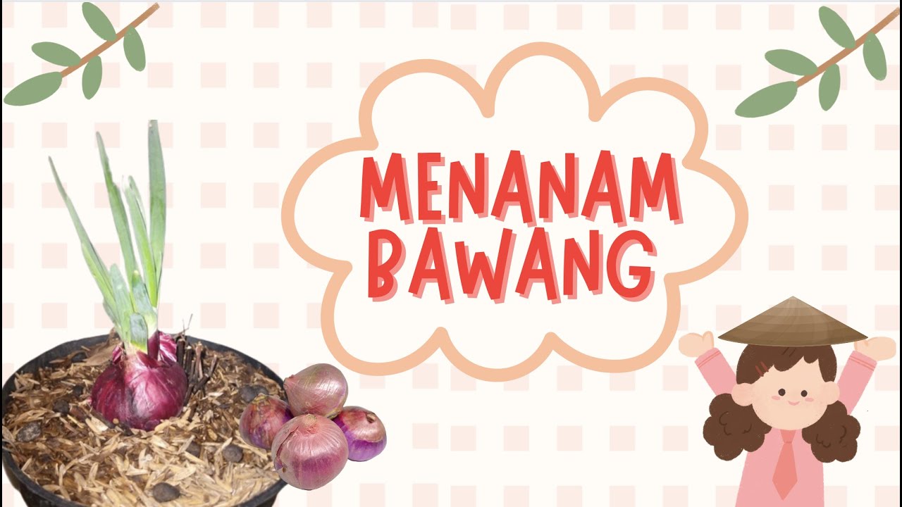 PROJEK P5 KURIKULUM MERDEKA PAUD/TK (TEMA: AKU SAYANG BUMI SUB TOPIK ...