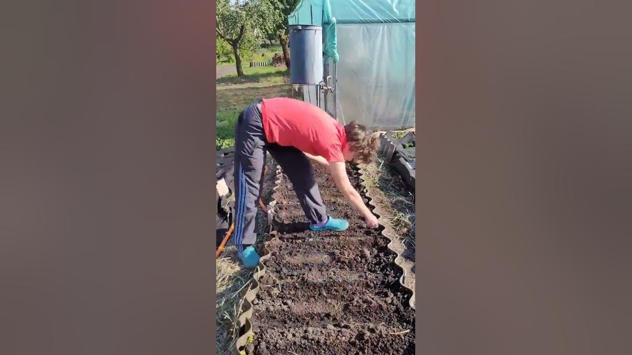 Город / Грядки - YouTube