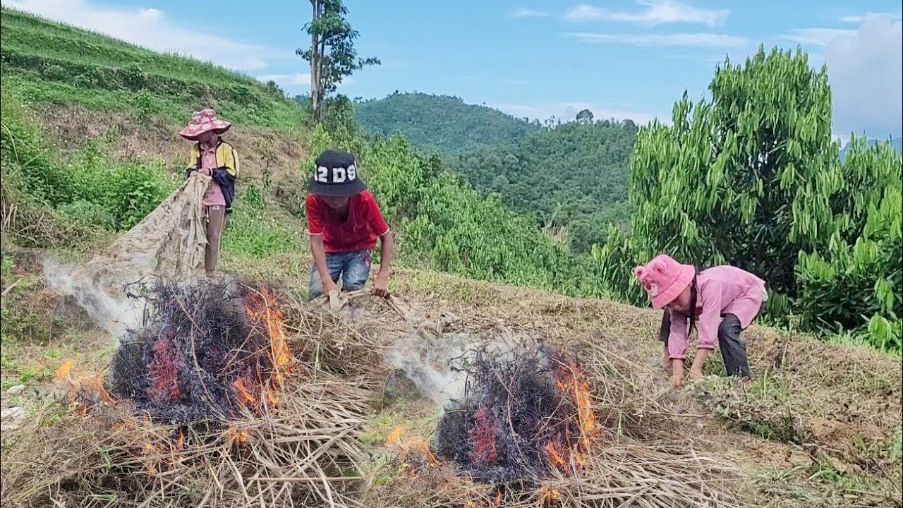 Let's follow the apricot family as they grow melons, everyone - YouTube