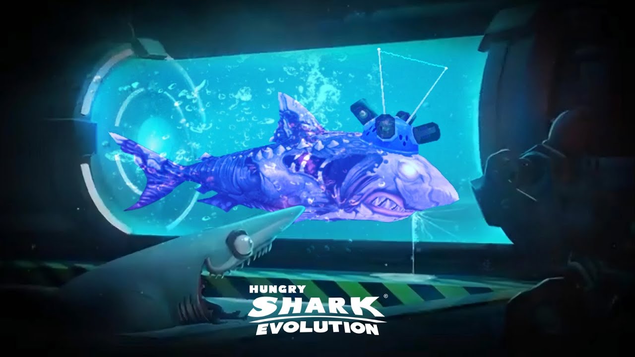 MEGALODON VS ENEMY ZOMBIE MEGALODON !! - Hungry Shark Evolution - YouTube