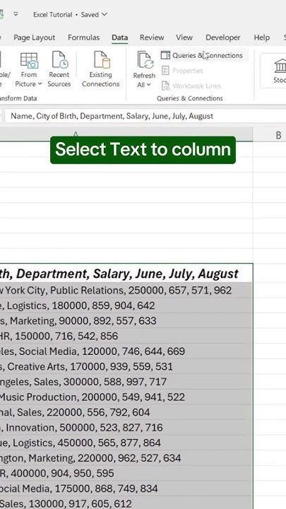 How to use Text to Column in Excel! #excel #spreadsheetmagic #spreadsheet #exceltips #msoffice ...