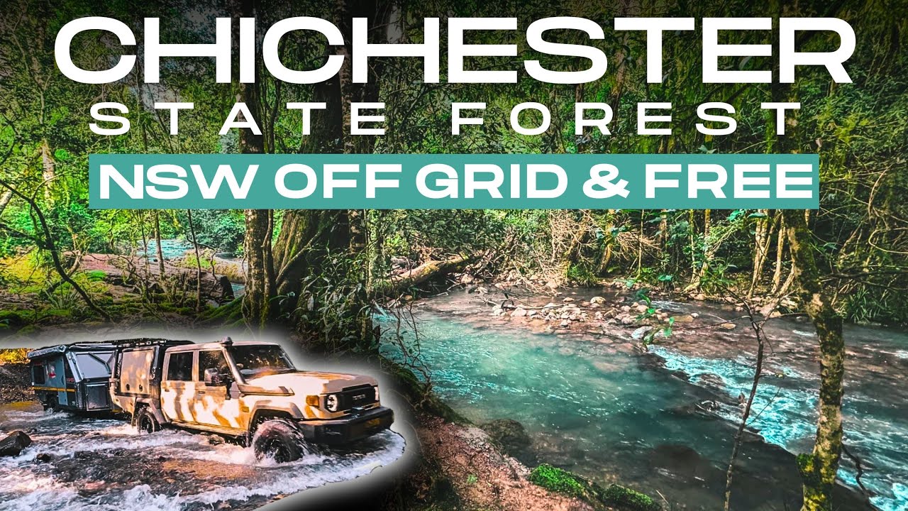 CHICHESTER STATE FOREST | 100% FREE CAMPING AT ITS BEST - YouTube