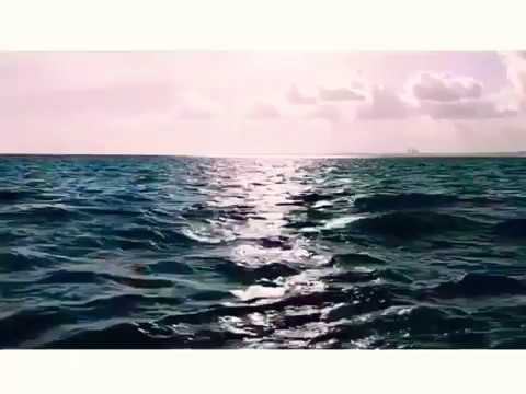 🌊😍💙