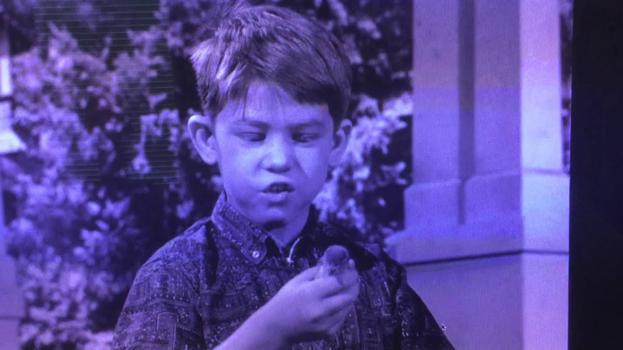 Andy Griffith Show - Opie the Birdman - Don't the Trees Look Nice and ...