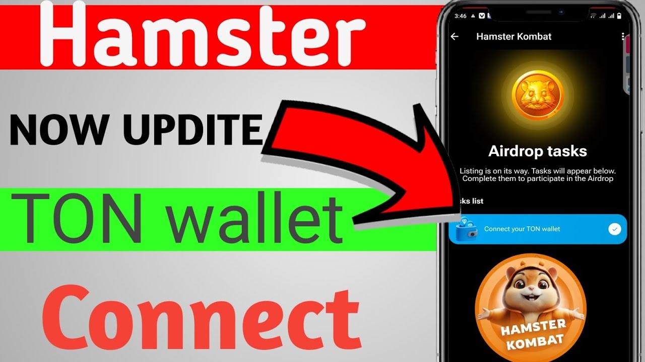 TON wallet Hamster || connect wallet update😄$800 Payment update 💖 ...