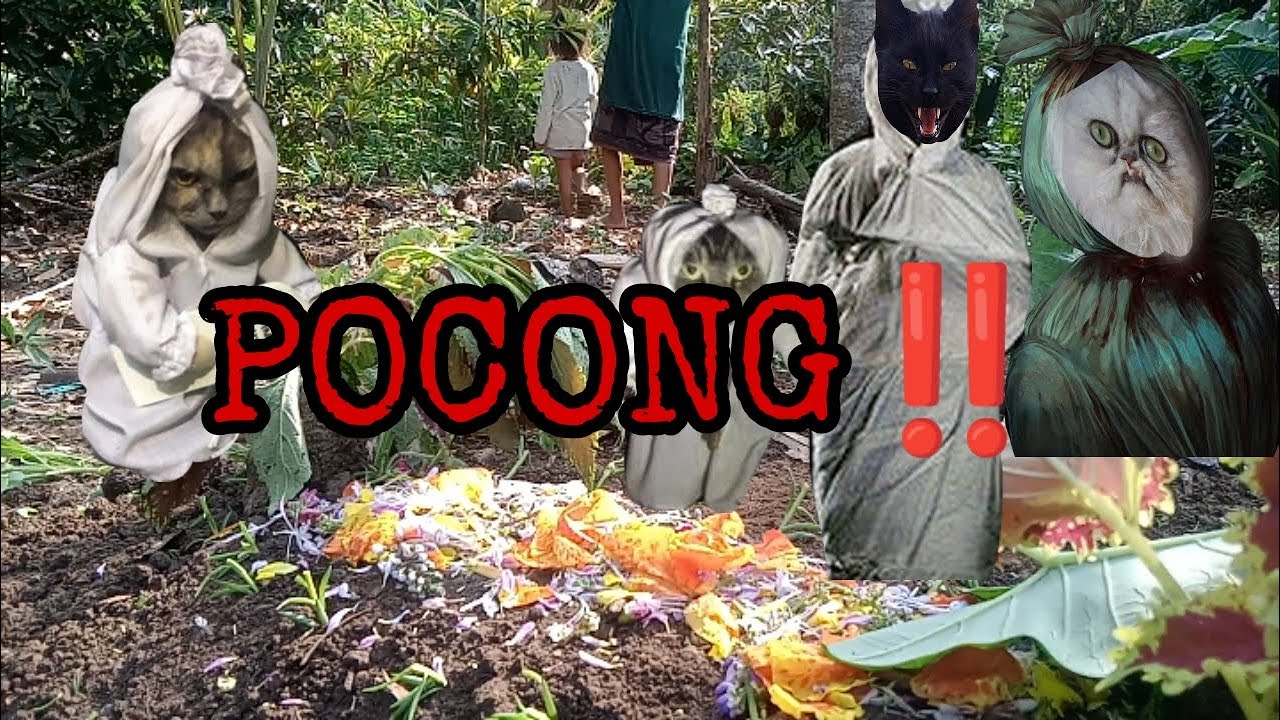 Prosesi PEMAKAMAN POCONG KUCING - Penampakan POCONG - YouTube