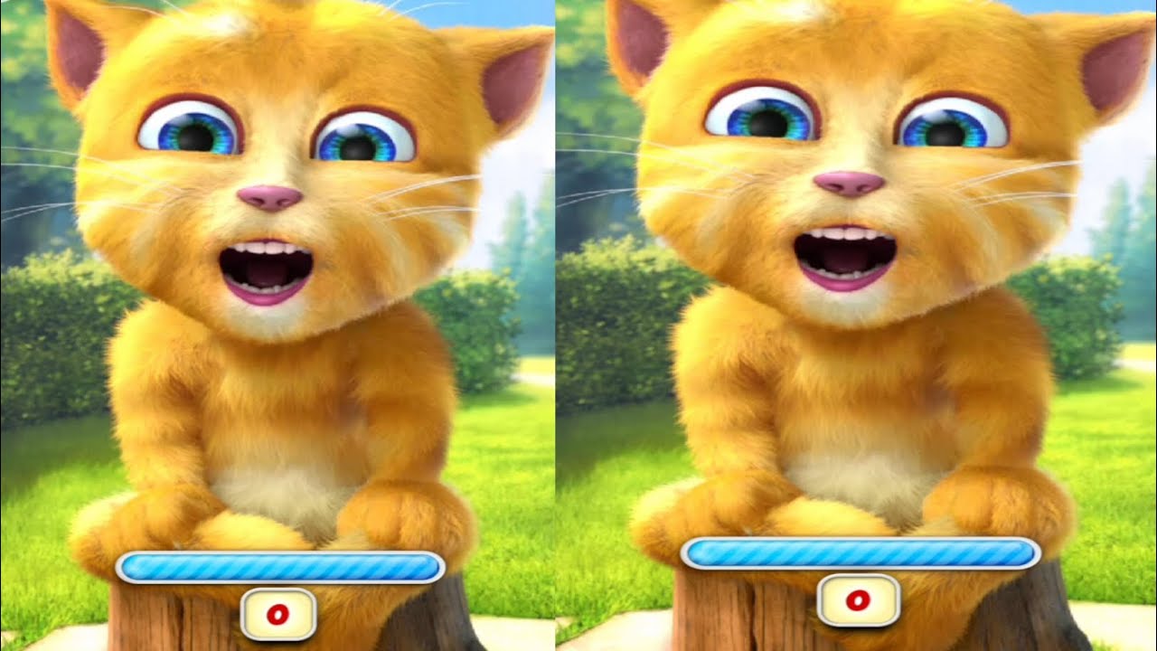 Talking Ginger's Ultimate Dance-Off: Get Ready to Groove!"🍒🍅🍅🥬🥬🍒🍒🥬🍅🍅🍓🍒🐈 ...