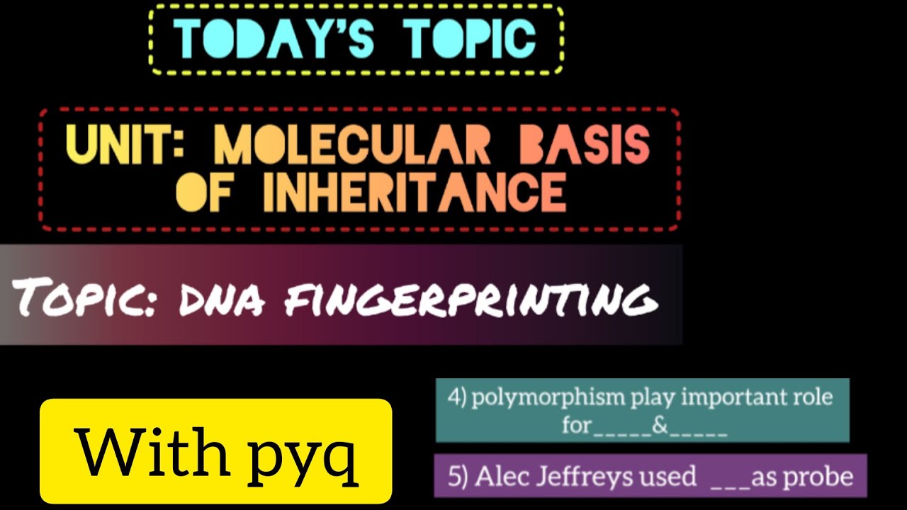 Molecular basis of inheritance/ DNA fingerprinting/today's topic/ NEET ...