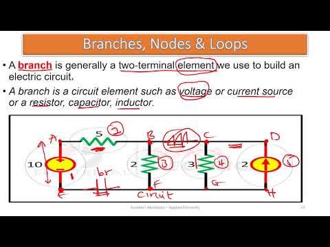 Ep 3 Branches, Nodes & Loops - YouTube