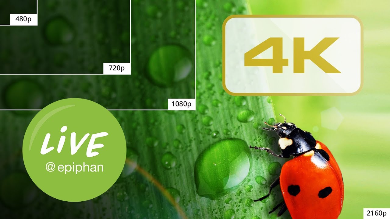 Live Stream in Glorious 4K! - YouTube
