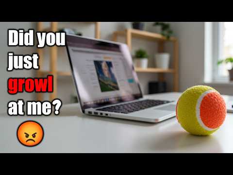 NO puppy play, Daddy's busy | ASMR Roleplay | Pet Play|  CGLG | Comforting | SFW