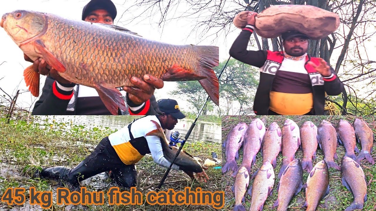 Traditional Fishing Videos | Big Fish Rohu Catching Video | Singal Hook ...