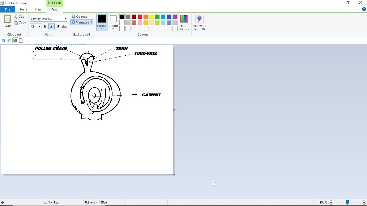 drawing of fertilization of flowering - YouTube