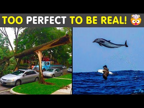 Unbelievable Coincidences Caught on Camera 🤯 Too Perfect to Be Real!