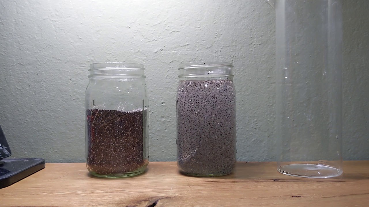 Watch Chia Seeds Expand in Water (Time Lapse) - YouTube
