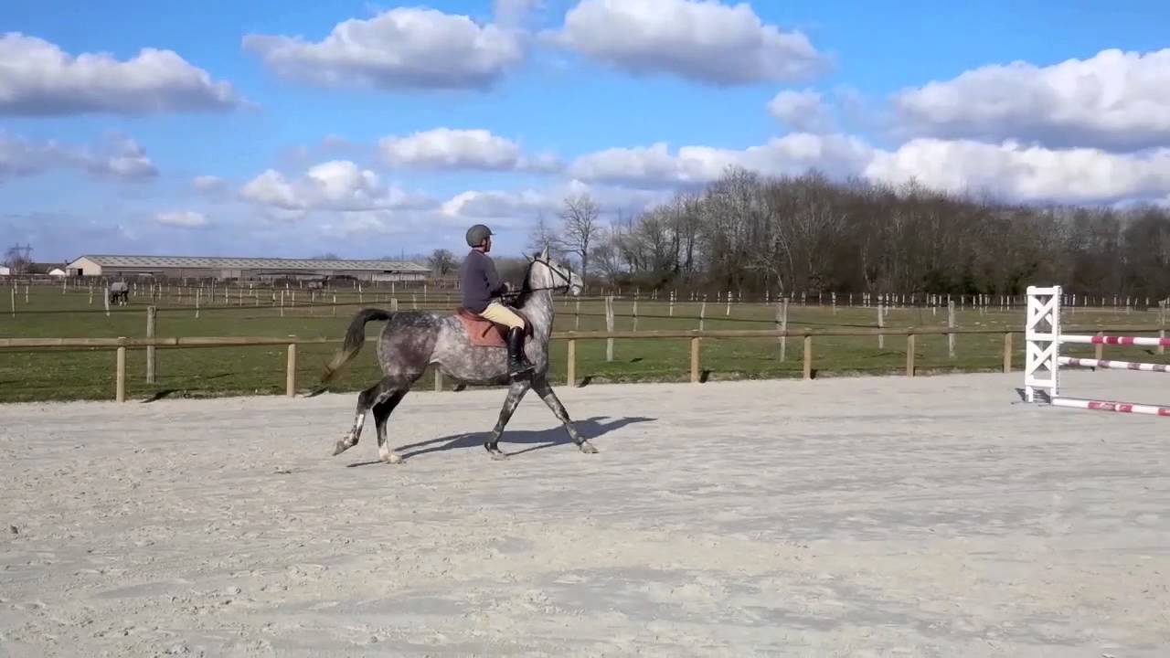 Ultane de Cavalhac 5 mars 2014 - YouTube