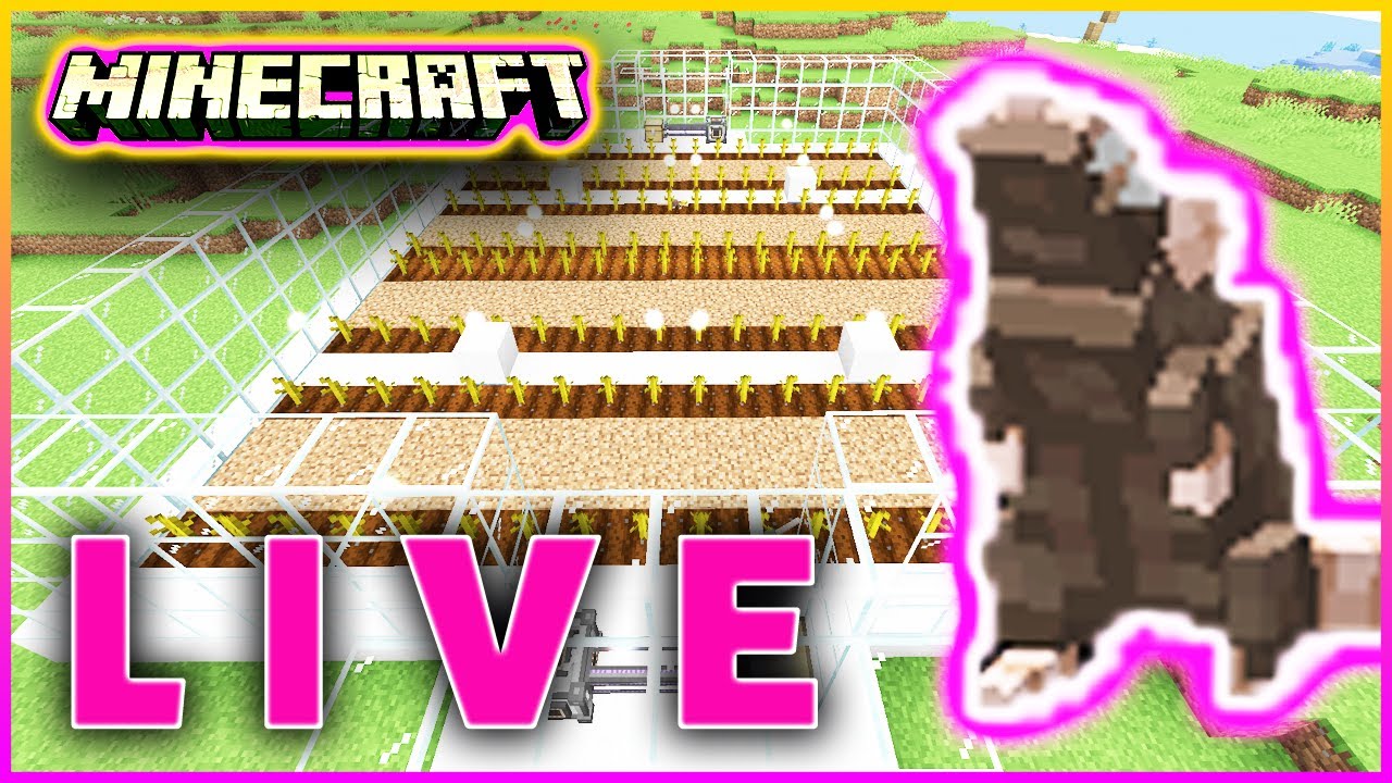 LIVE - Minecraft - FULLY AUTOMATIC RAT FARM! - YouTube