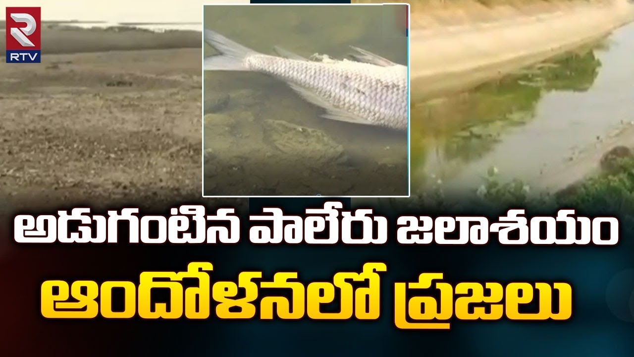 Paleru Reservoir Facing Threat | అడుగంటిన పాలేరు జలాశయం | Paleru ...