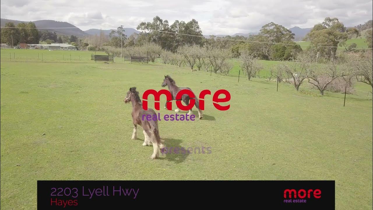 2203 Lyell Hwy Hayes - YouTube