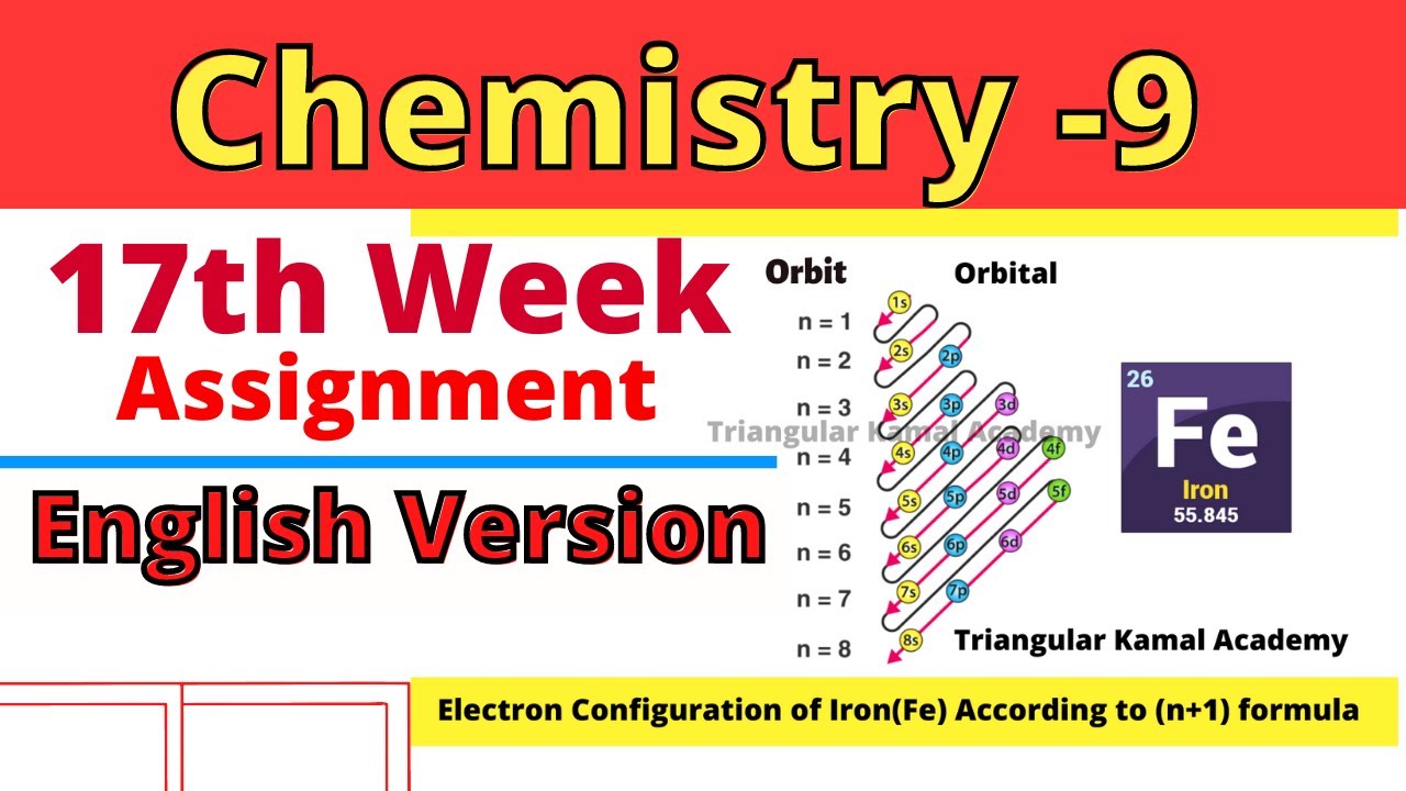 17th week Class 9 Chemistry English Version Assignment Solution ...