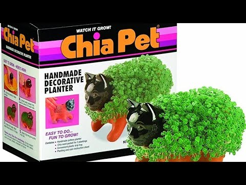 Chia pet commercial 2023 - YouTube