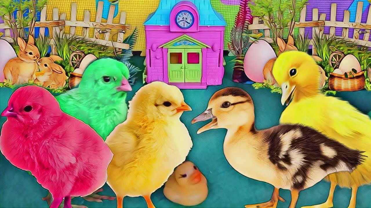 Rainbow chicks and cute ducks, train funny duck | PART 16 - YouTube