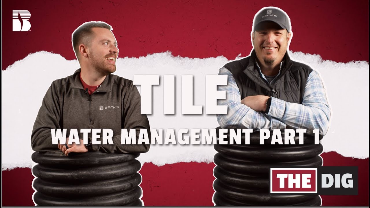 Water Management Pt. 1 - Tile | The Dig - YouTube
