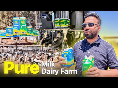 A DAIRY FARM in Saudi Arabia 🇸🇦 With ZERO Chemical Dairy Products🥛