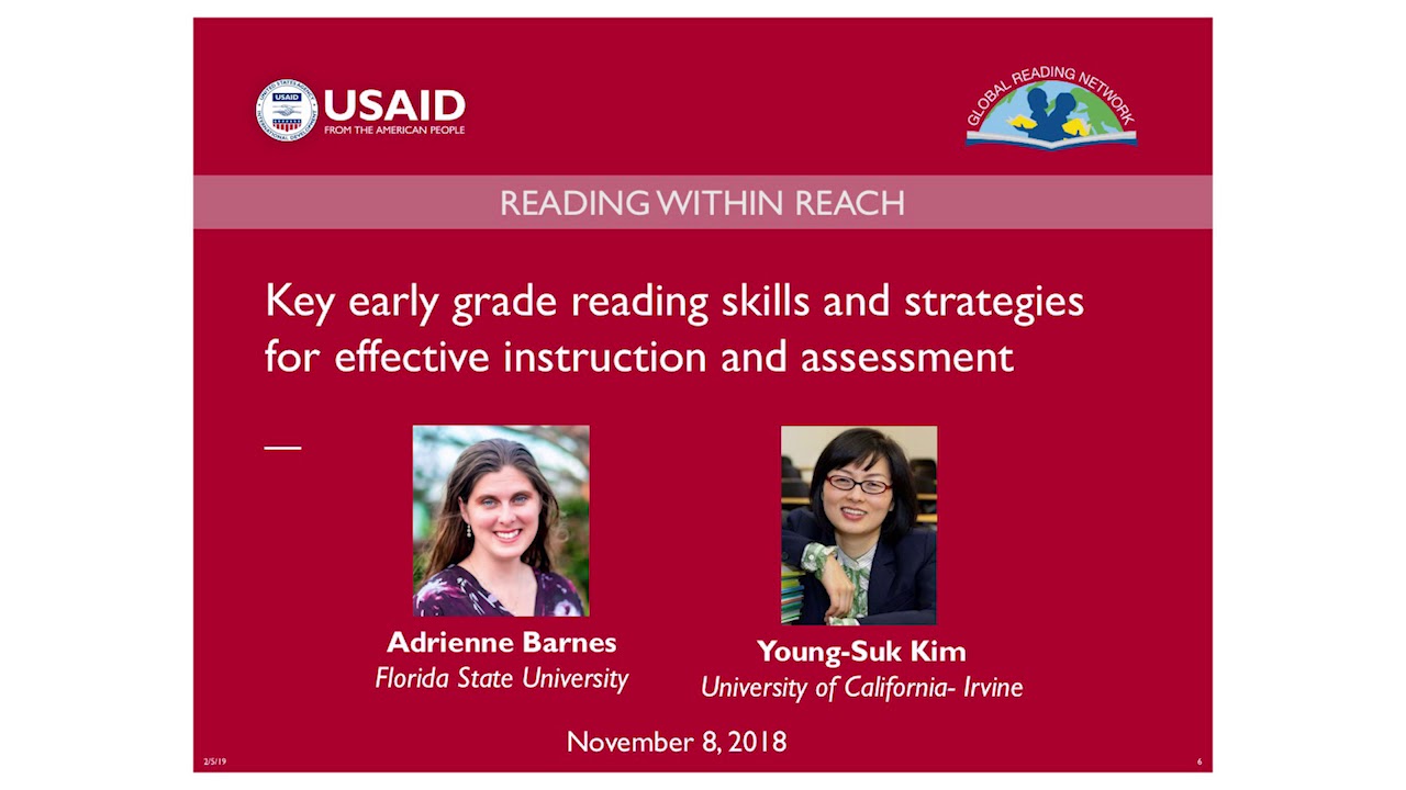 Skills and strategies for effective early grade reading instruction and ...