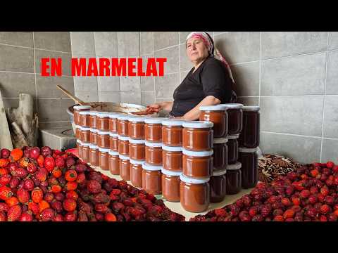 EN GÜZEL KUŞBURNU YAPIMI ÇOK BEREKETLİ OLDU ŞİŞELERİMİZ DOLDU