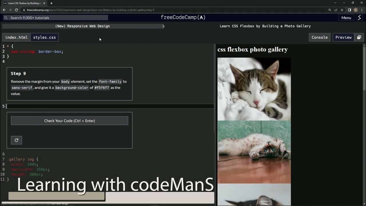 (ARCHIVED) | freeCodeCamp (New) Responsive Web Design - Building a ...