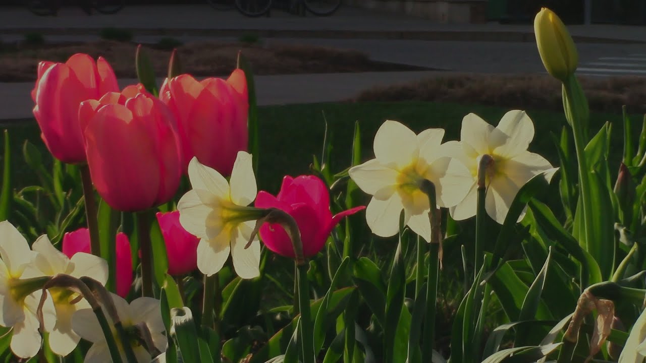 my perfect lover - YouTube