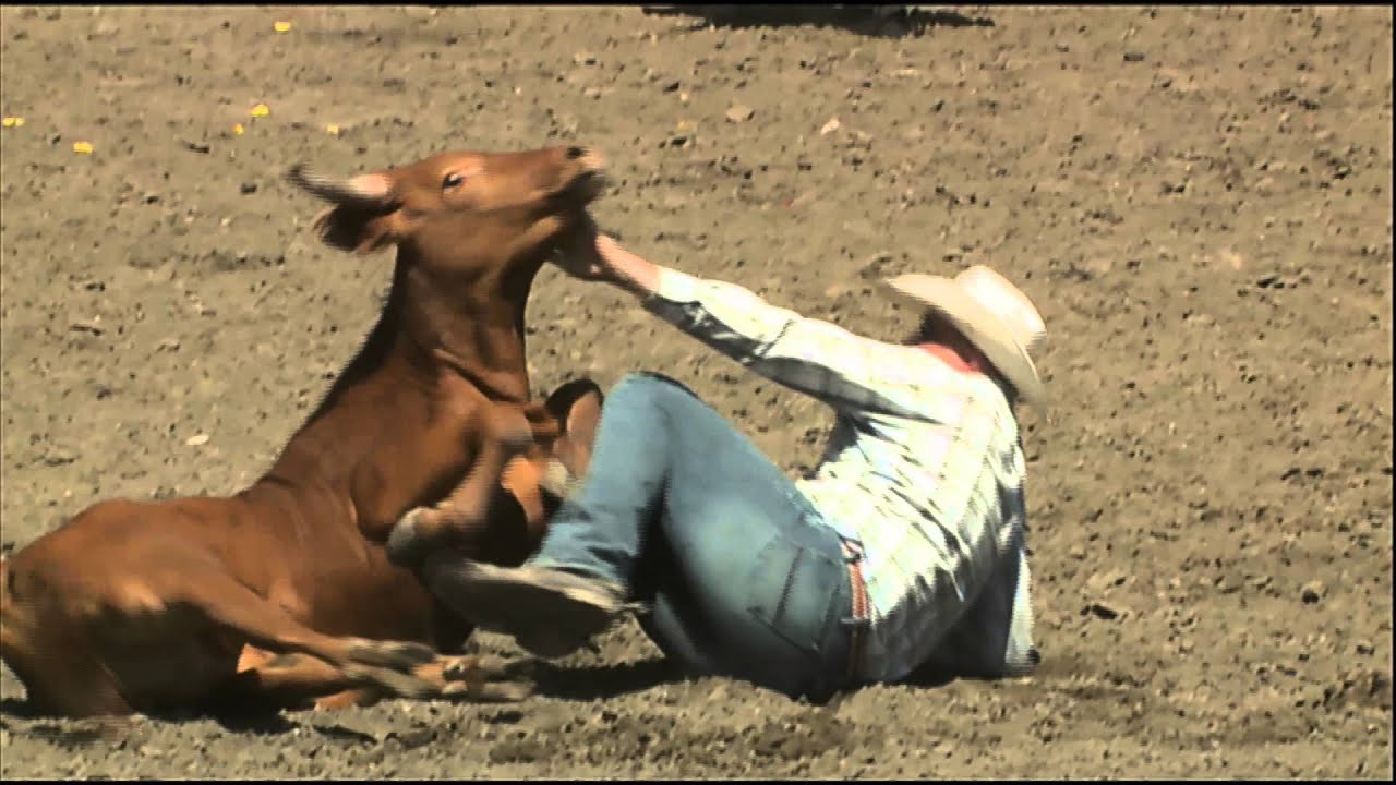 Ponoka Stampede 2015 | Day 3 Rodeo Wrap - YouTube