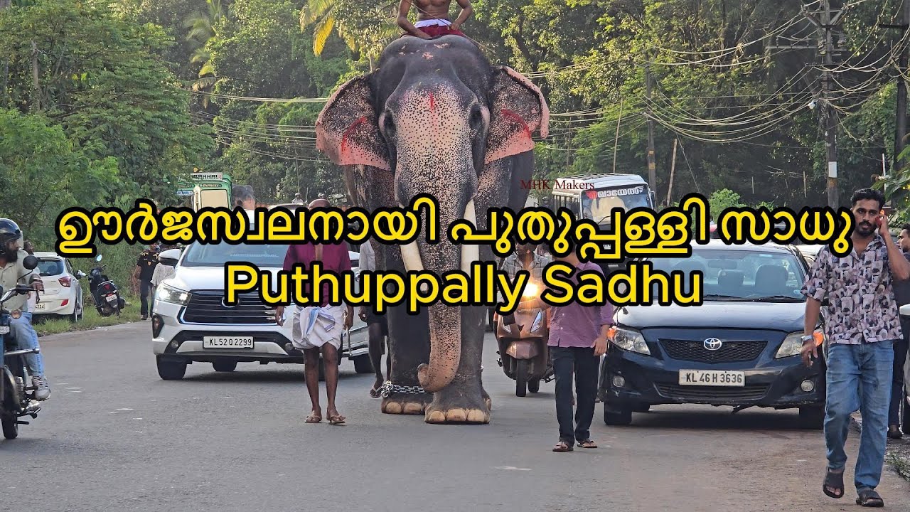 ചികിത്സ കഴിഞ്ഞു സജീവമായി പുതുപ്പള്ളി സാധു | Puthuppally Sadhu # ...