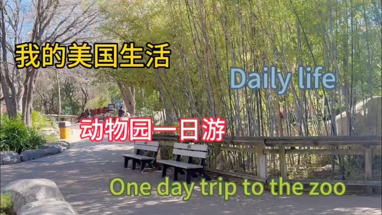 Forworth 动物园一日游 - YouTube