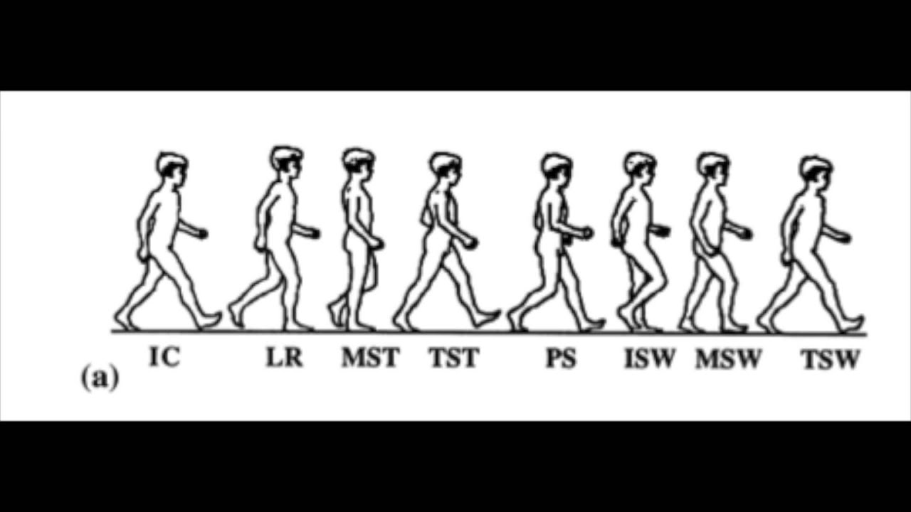 The Physics of Running - YouTube