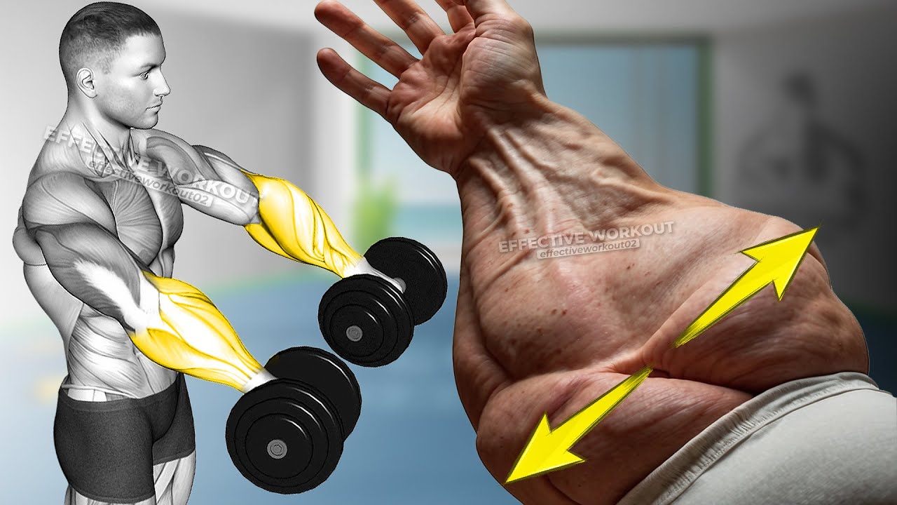 5 BEST Exercises for Bigger Forearms Workout - YouTube