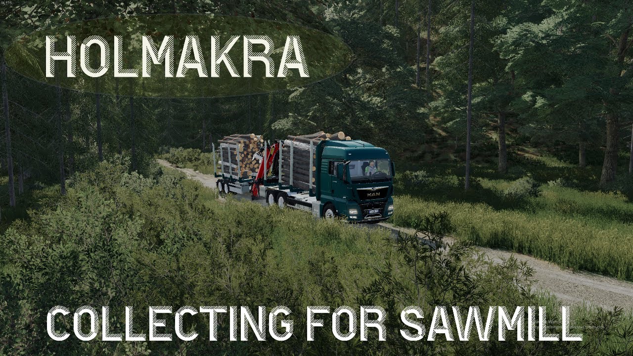 TAKING THE LOGS TO THE SAWMILL l HOLMÅKRA l FS22 l FORESTRY l TIMELAPSE ...