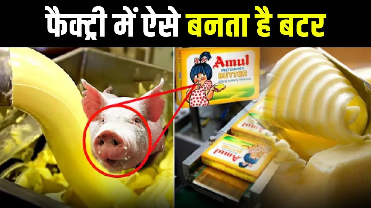 फैक्ट्री में कैसे बनता है अमूल बटर | Factory Making Process of Amul ...