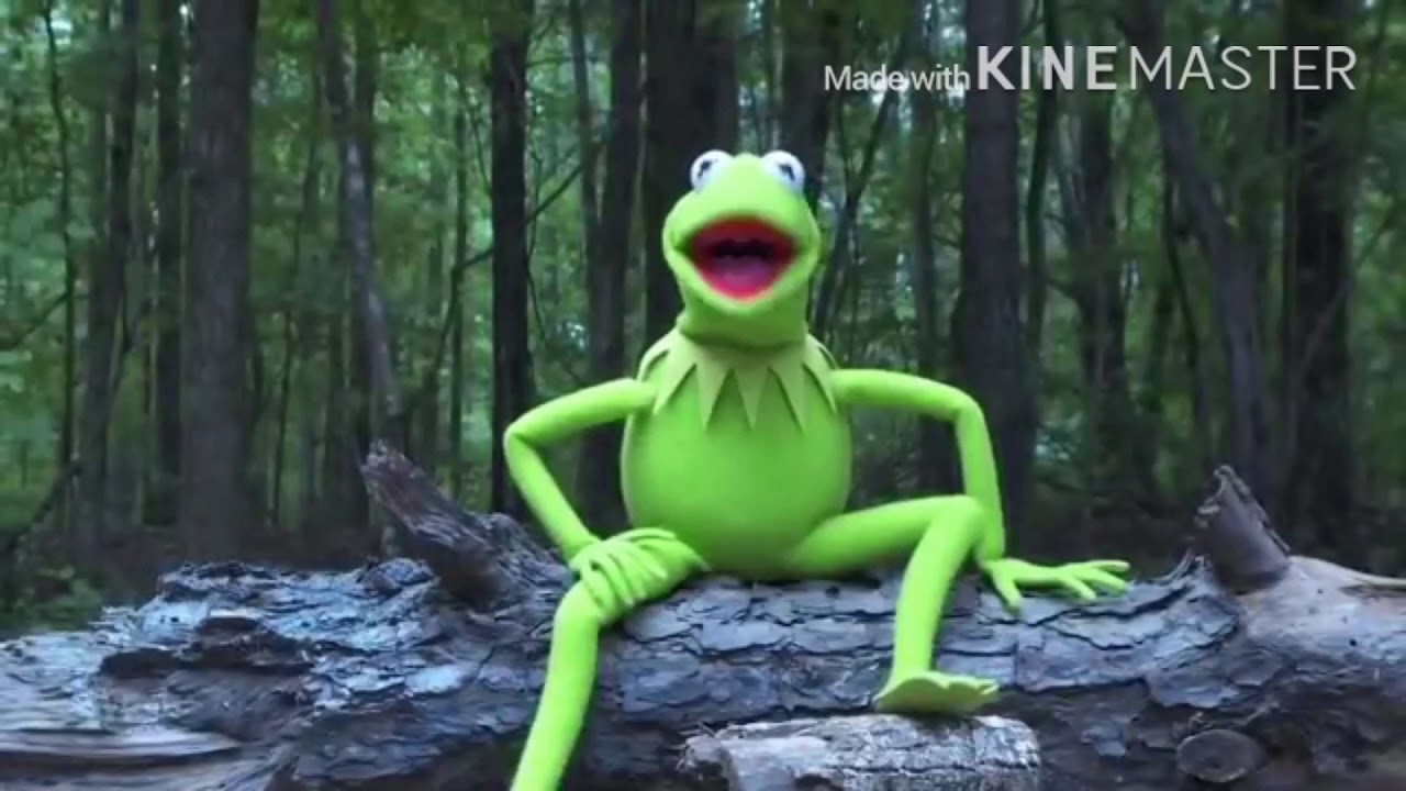 When you visit Kermit - YouTube