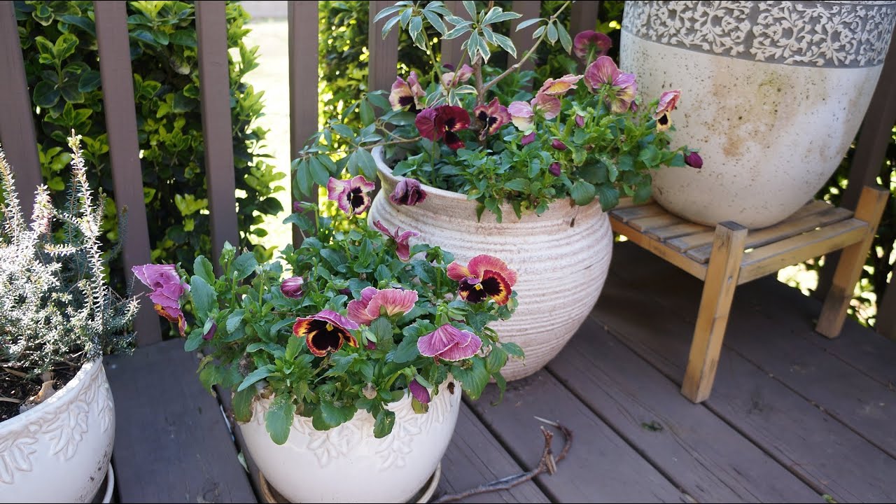 First Garden Tour of Spring - The Garden is Waking Up! - YouTube