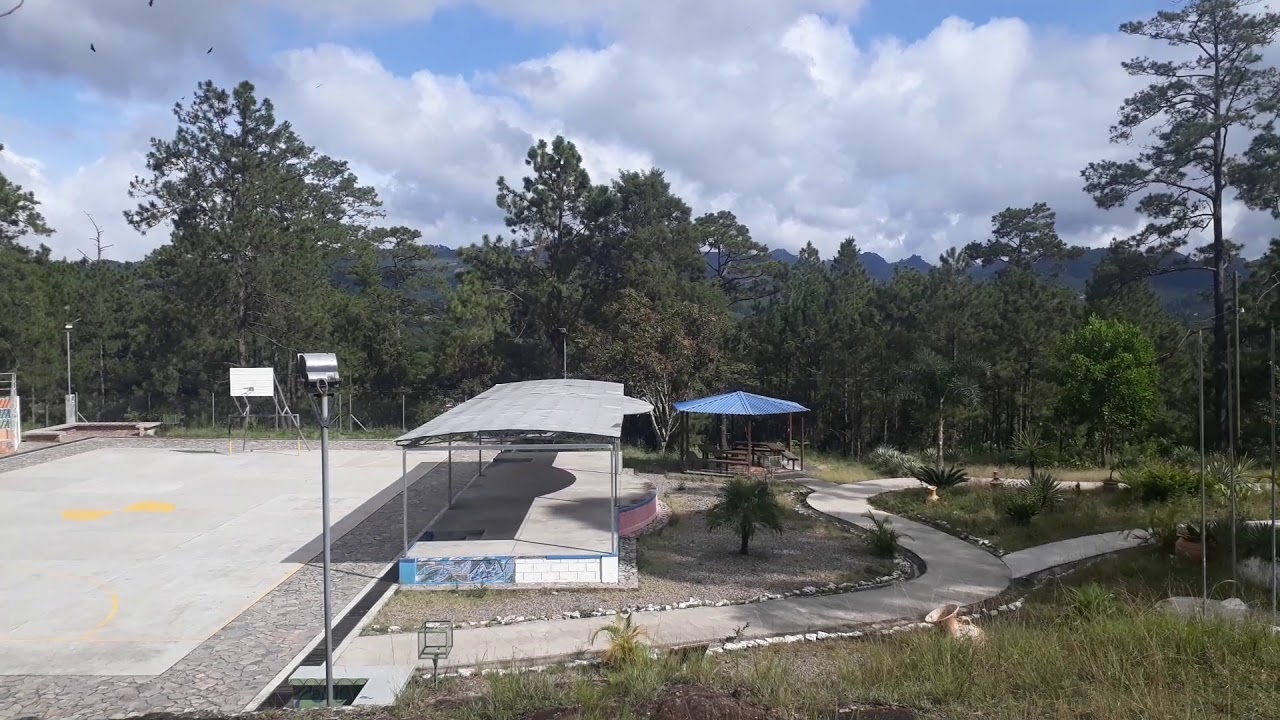 Calanterique, un bosque que debes visitar en Siguatepeque, Honduras ...