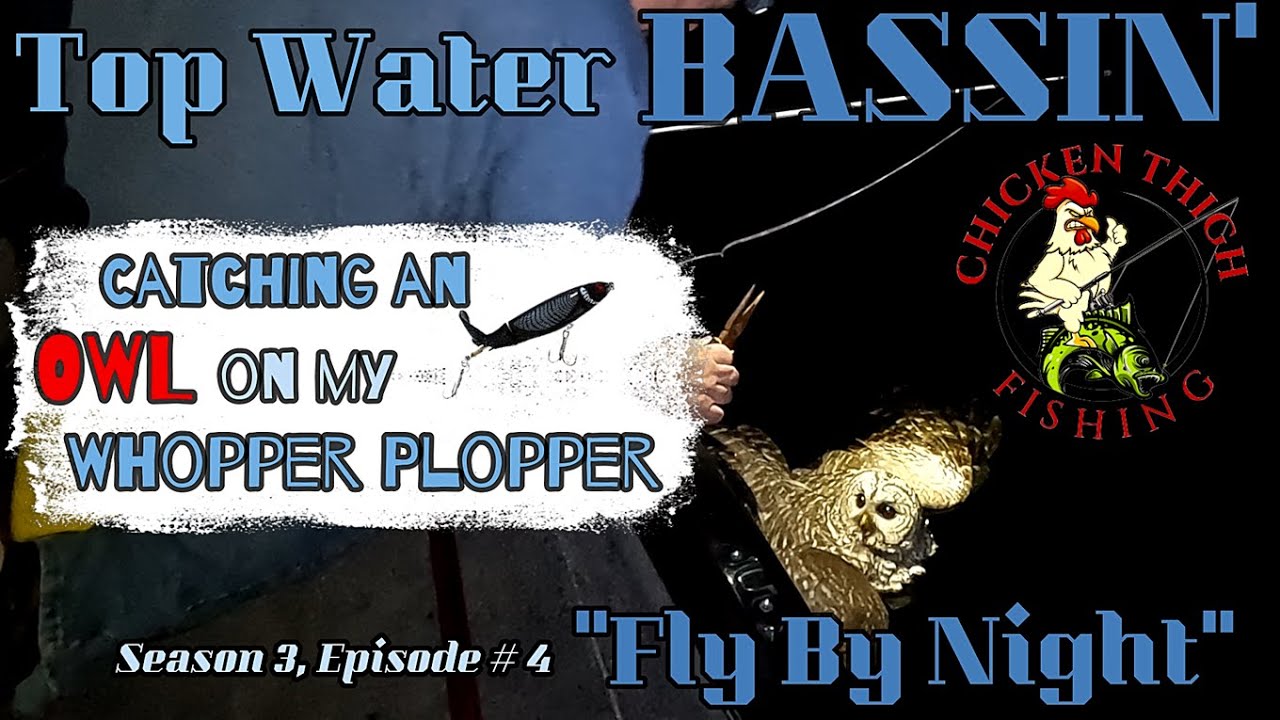 Top Water Bassin' - Top Water Bass Fishing at Night #bassfishing # ...