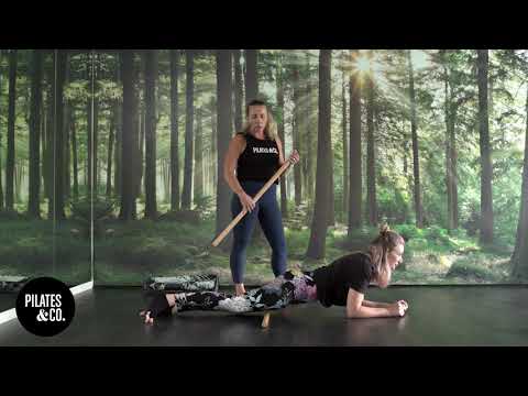 Rec Fem - All Levels | Pilates & Co.