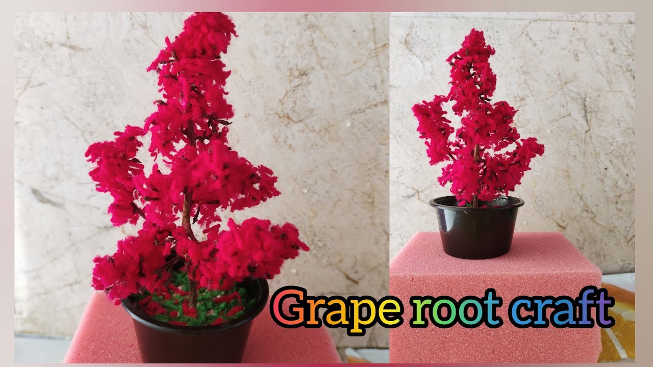 "Creative Grape root craft ideas 🍇for small tree " - YouTube