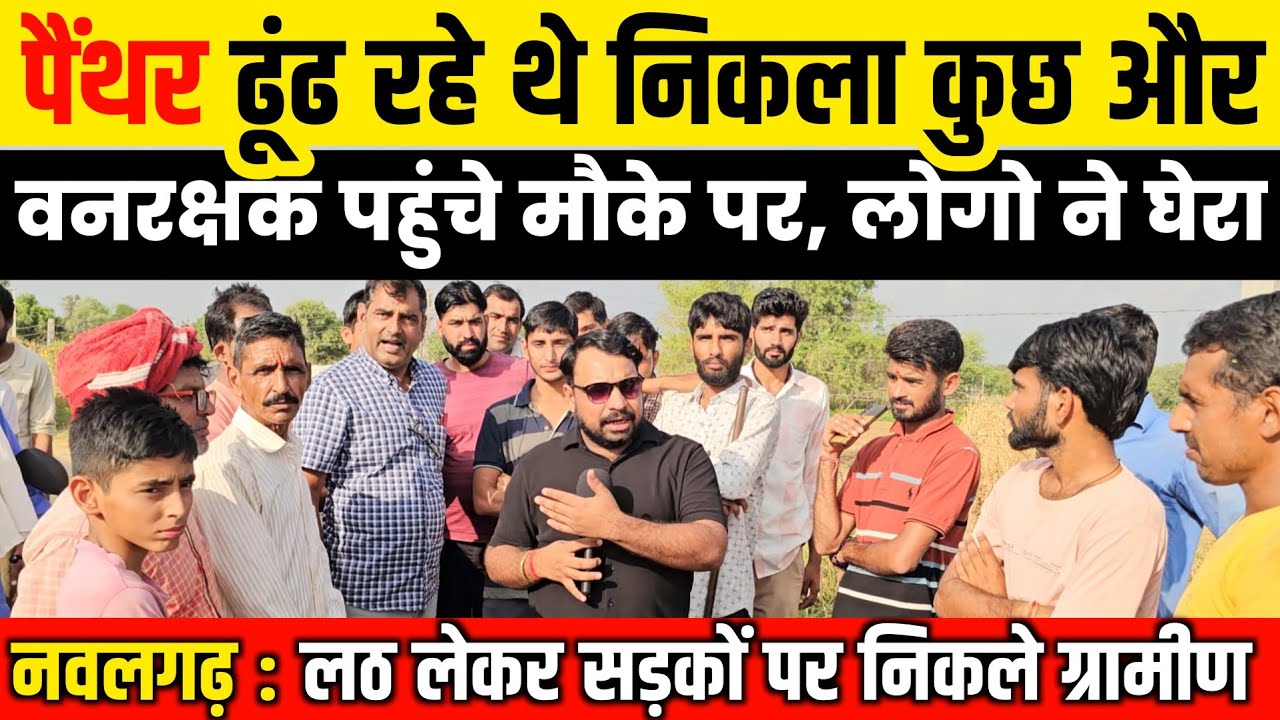 नवलगढ़ के गांव में फिर दिखा जंगली जानवर nawalgarh news । nawalgarh me ...