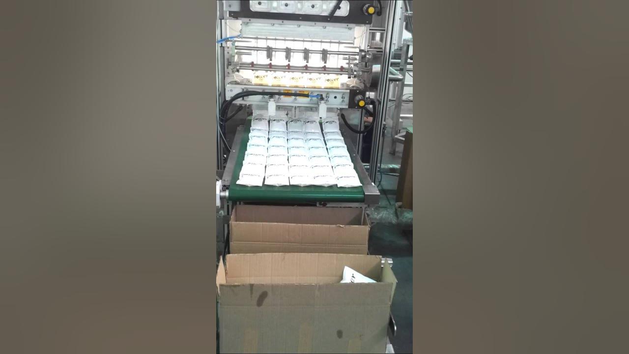 Fully automatic pouch packing machine with conveyor and auto case ...